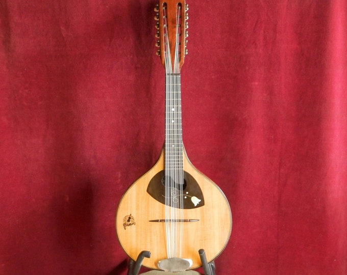 12 String Mandolin or "mandriola". - Etsy