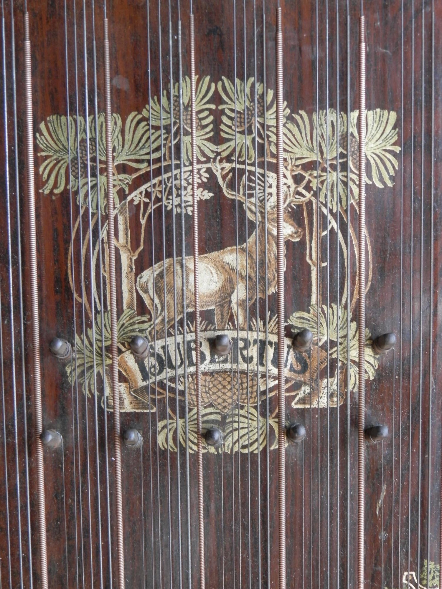 Mandolin Chord Zither