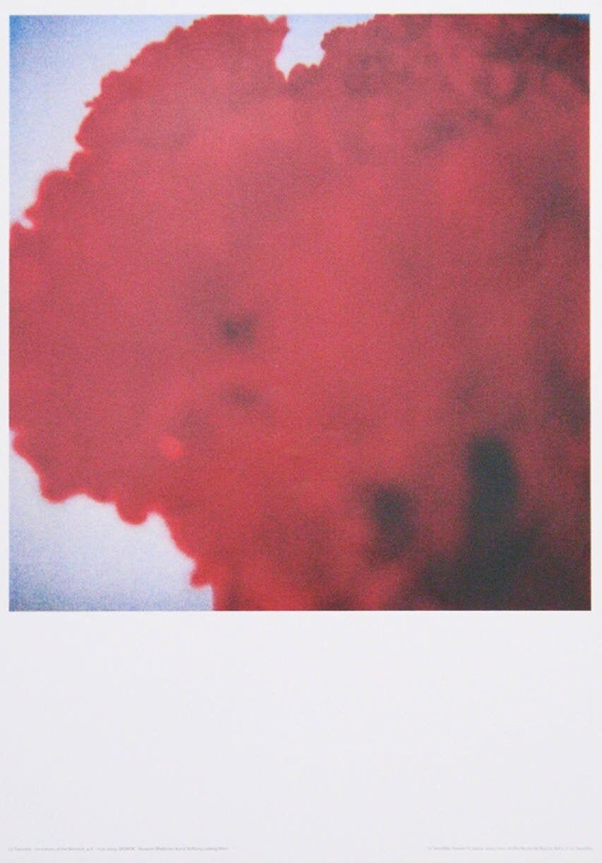 Cy Twombly - Flower - Offset lithograph - 1998/2009