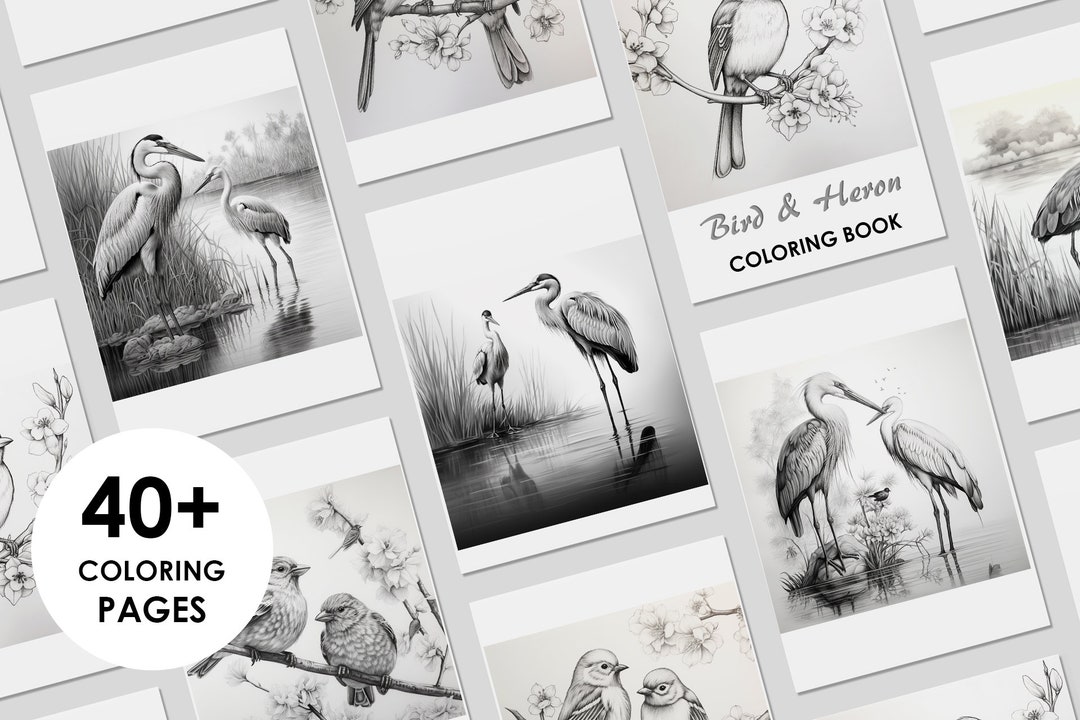 40 Birds and Herons Coloring Pages, Instant Download, Grayscale Adult ...