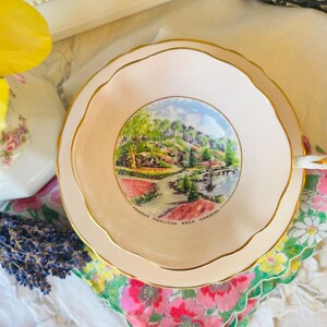 Paragon Hamilton Rock Garden Tea Cup and Saucer in Pink, Vintage ...