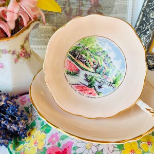 Paragon Hamilton Rock Garden Tea Cup and Saucer in Pink, Vintage ...