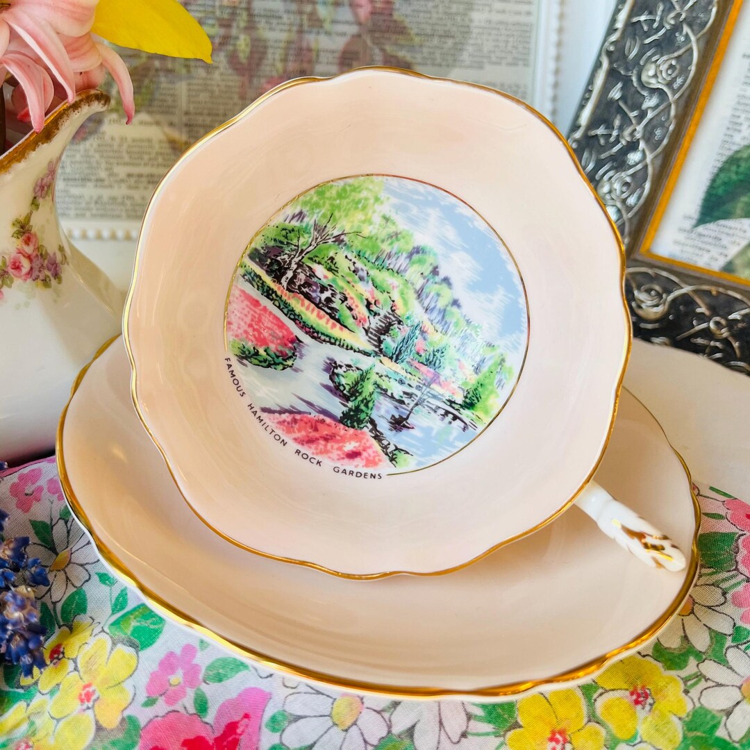 Pink Paragon Rock Garden Tea Cup and Saucer From Hamilton, Vintage ...