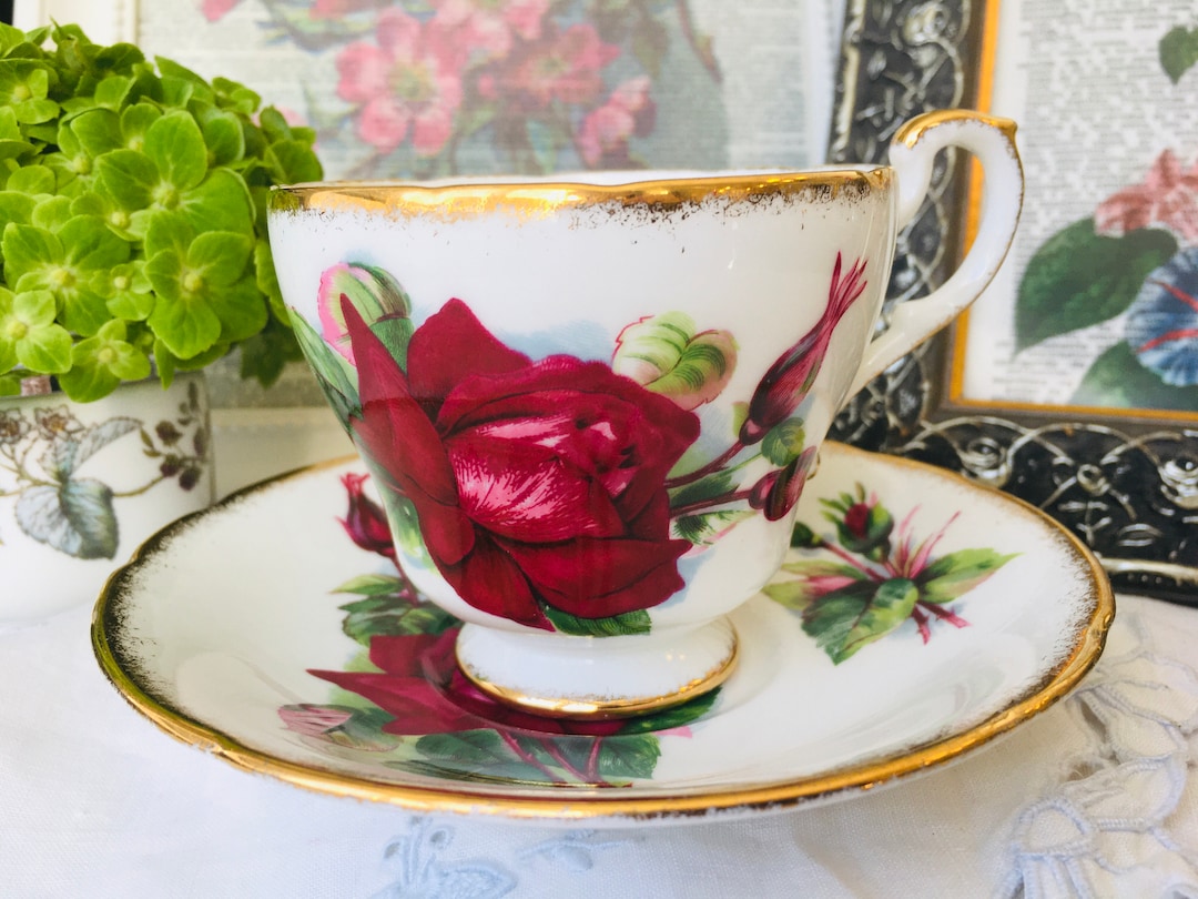 Paragon Red Cabbage Rose Teacup and Saucer, Signed by the Artist, R S ...