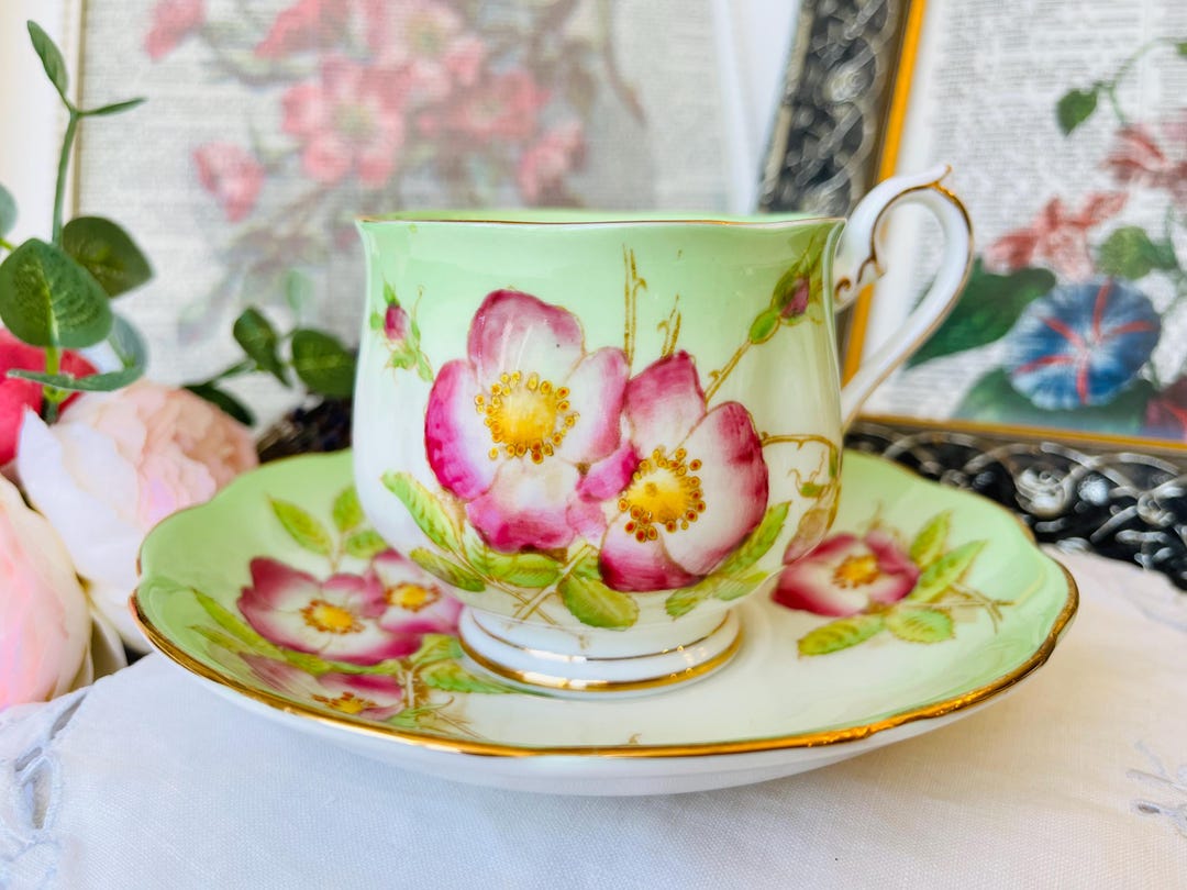 Royal Albert "wild Rose" Green Ombre and Pink Teacup and Saucer ...