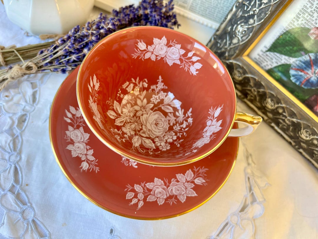 Aynsley Burnt Orange and White Roses Tea Cup and Saucer, English Tea ...