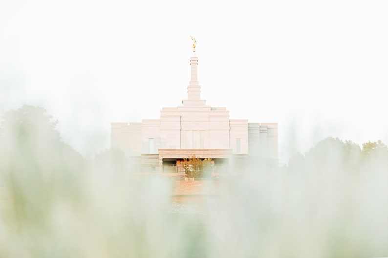 Snowflake Arizona Temple 1 - Etsy