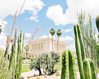 Mesa, Arizona Temple-cactus - Etsy