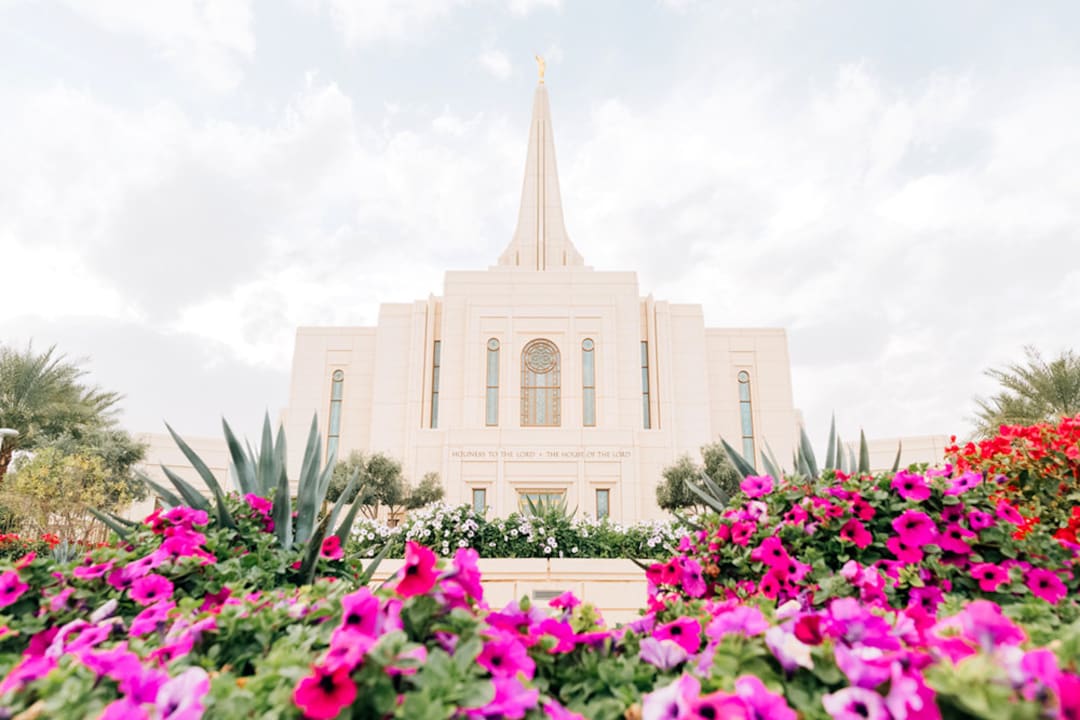 Gilbert Arizona Temple Pink Flowers - Etsy