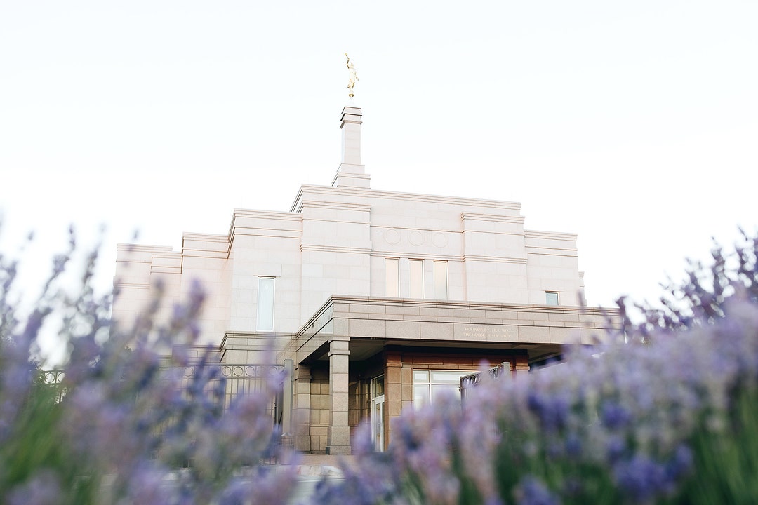 Snowflake Arizona Temple 3 - Etsy