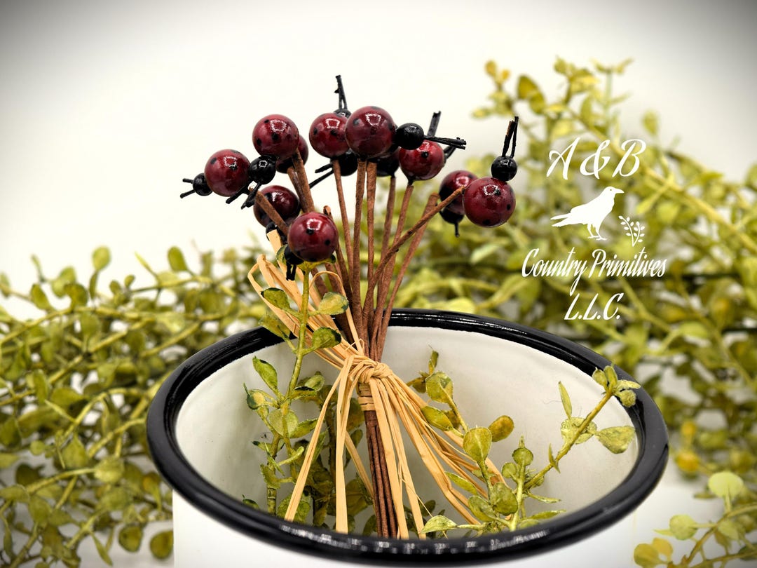 Set of 12 Primitive Decorative Ladybug Picks (7 Inches), Cottagecore ...