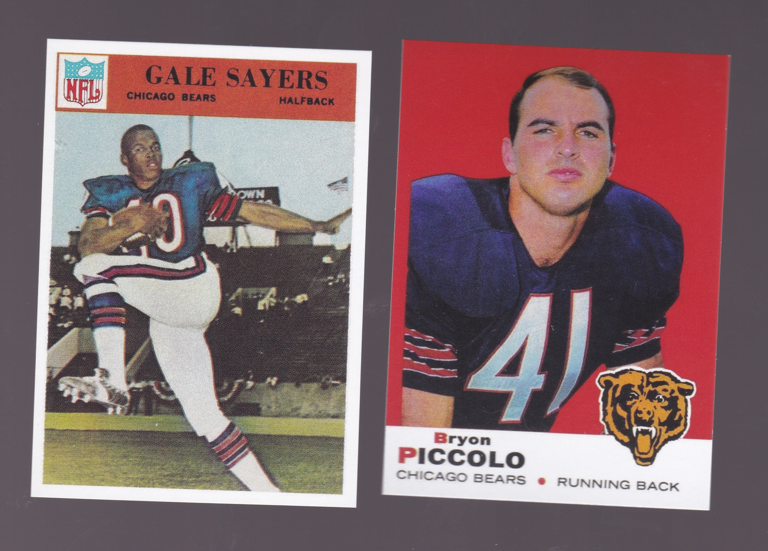 Brian Piccolo And Gale Sayers