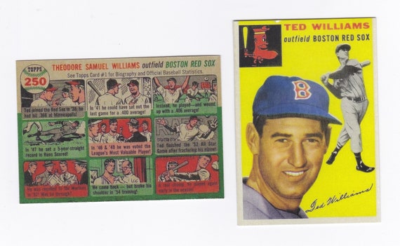 Ted Williams Baseball Card Stats