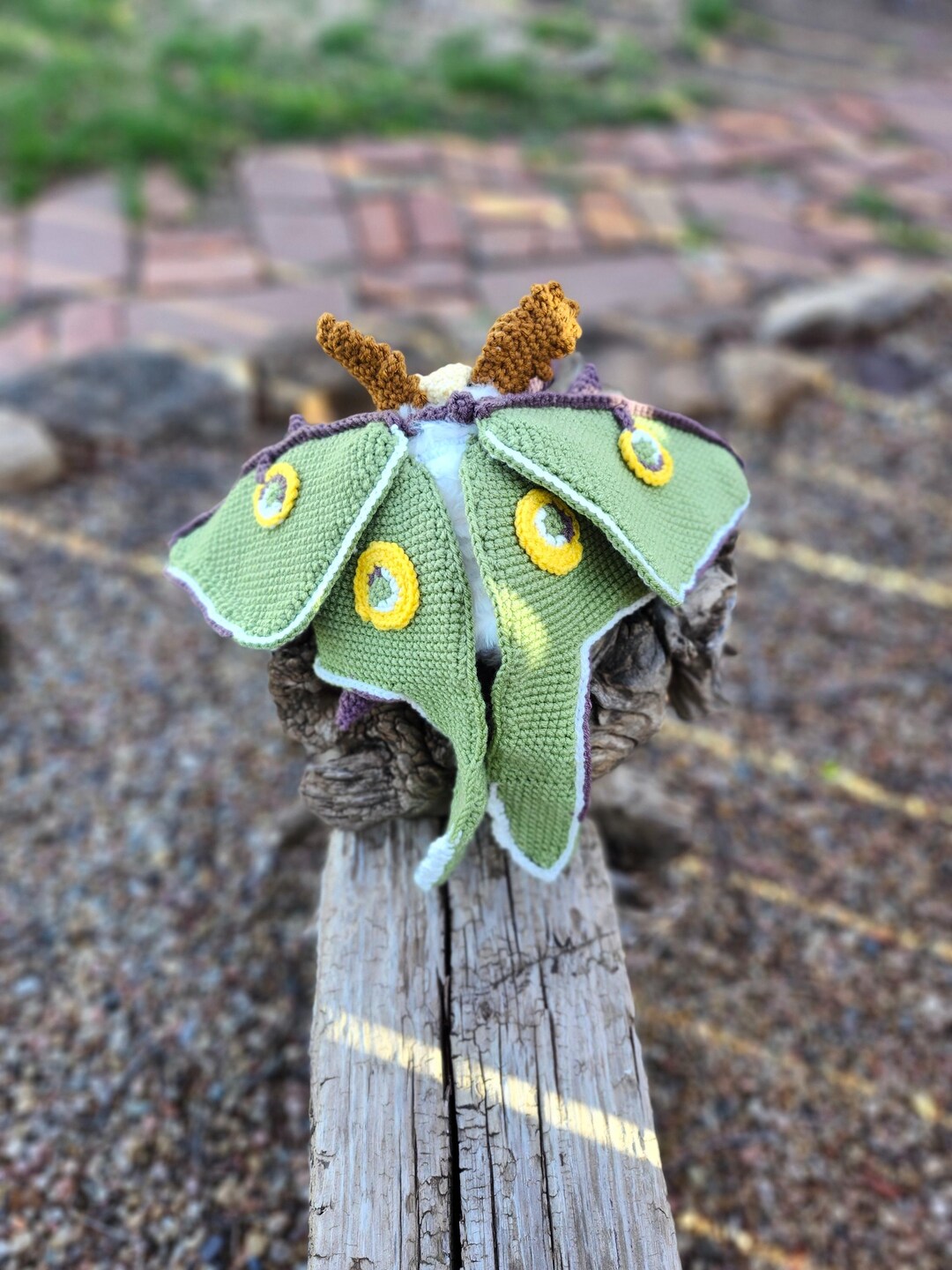 Crochet Luna Moth Amigurumi: Handmade Plush Moth Toy - Etsy