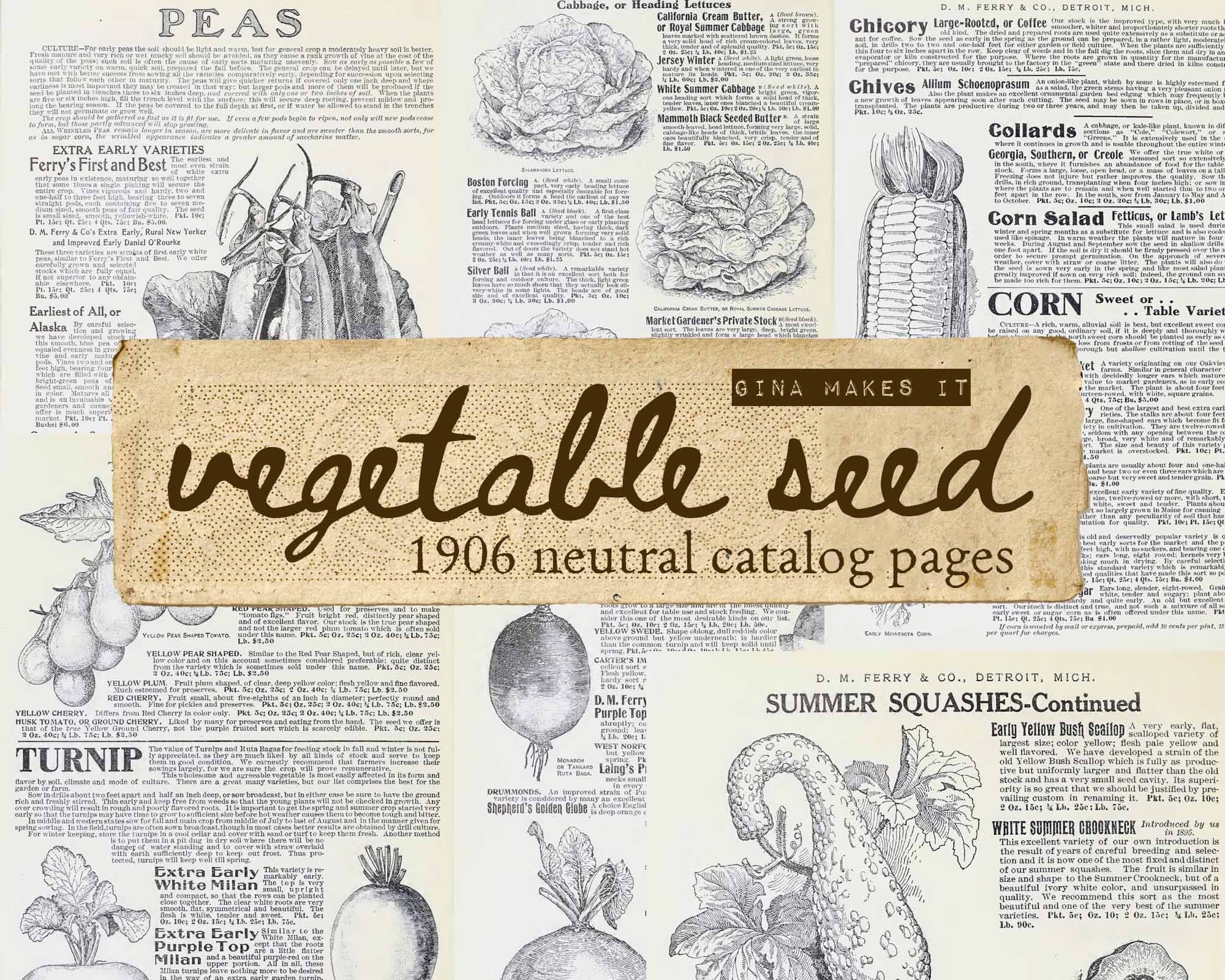 Vintage Neutral Vegetable Seed Catalog Pages - Vintage Printables ...