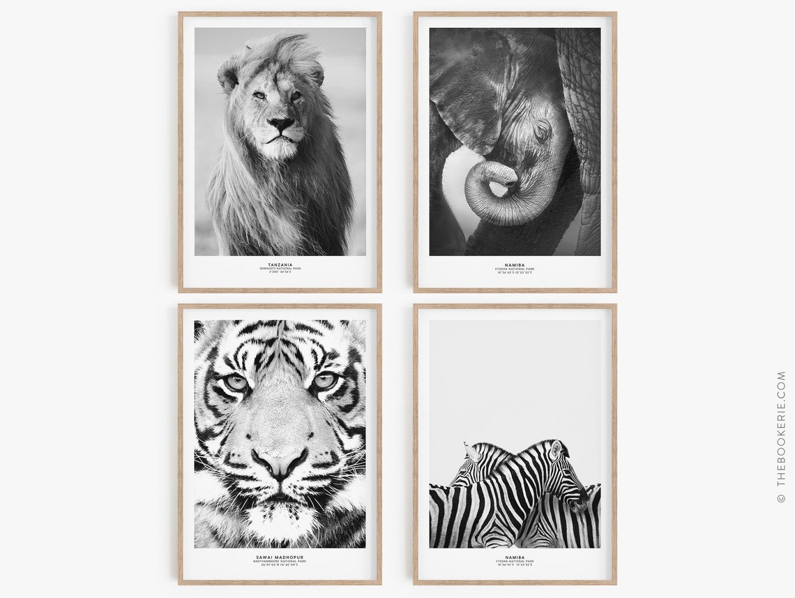 Lion Print, Lion Poster, Lion Print Download, Big Cat Print, Tiger ...