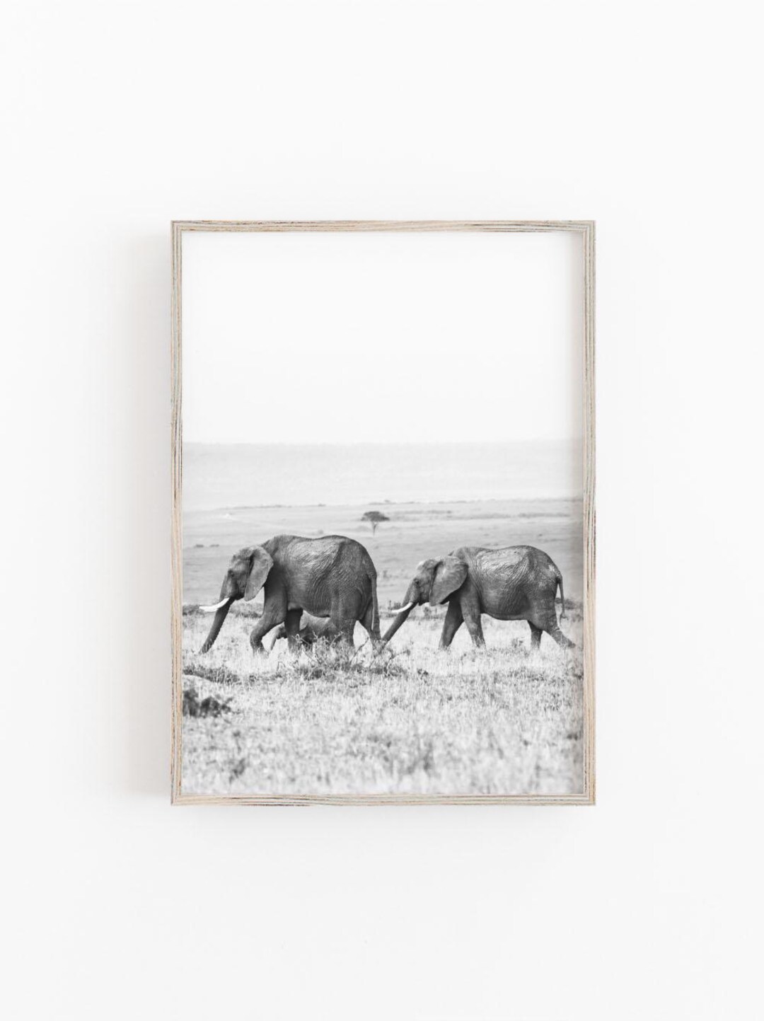 Elephant Print, Elephant Poster, Elephant Printables, Elephant ...