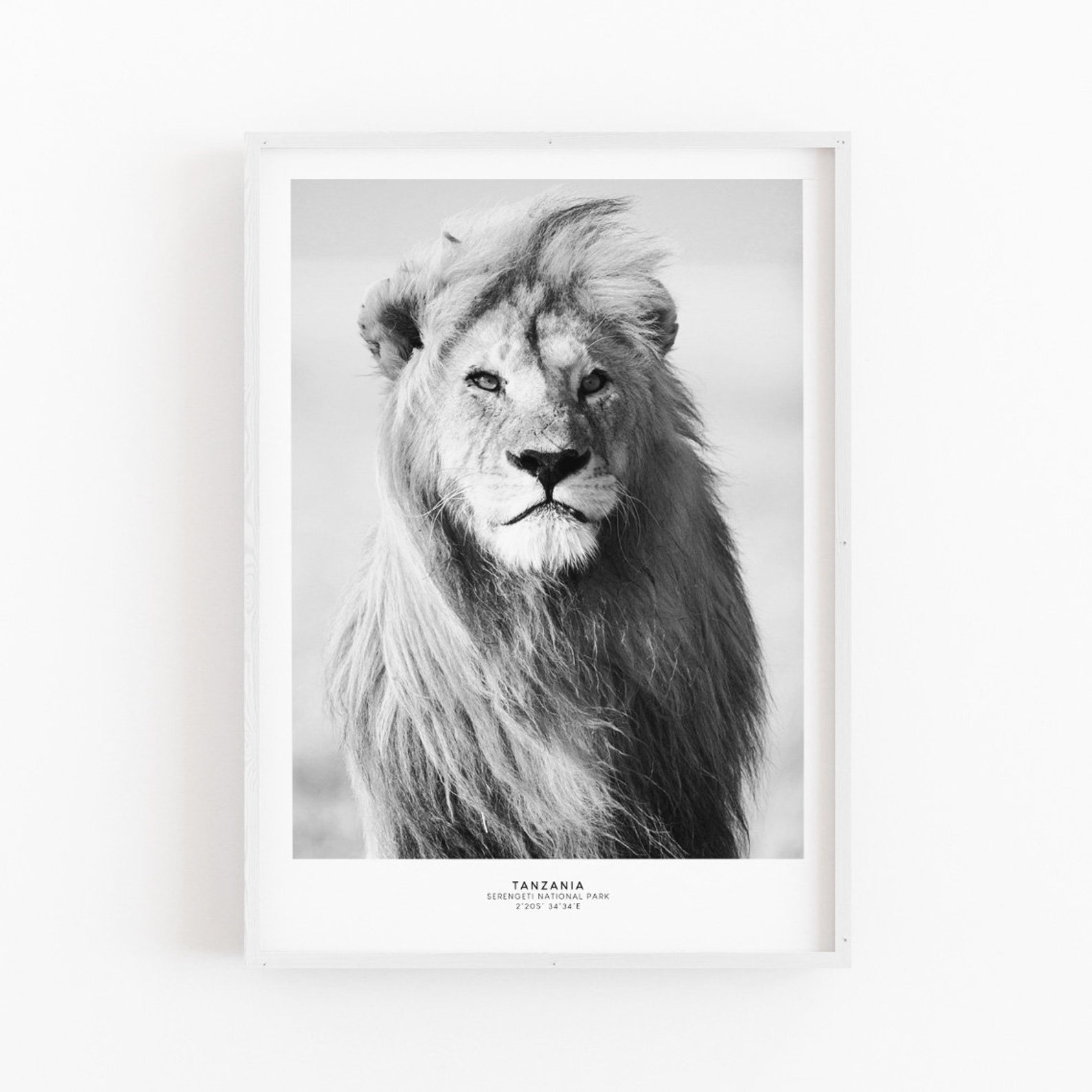 Lion Print Lion Poster Lion Print Download Big Cat Print | Etsy