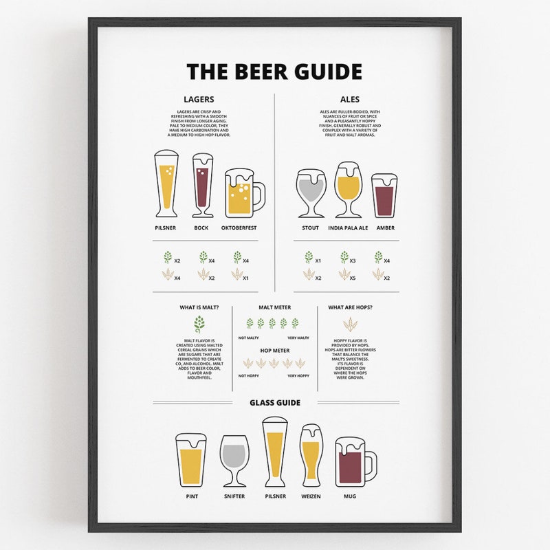 Types of Beer Poster - Etsy