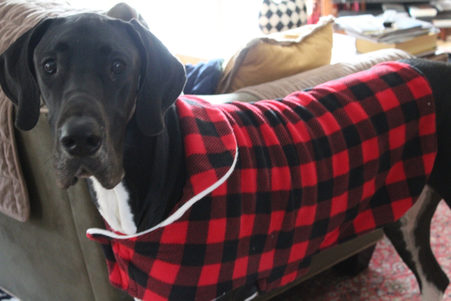 Custom made Dog coat - fleece dog coat - dog winter coat - large dog ... Custom made Dog coat - fleece dog coat - dog winter coat - large dog ...