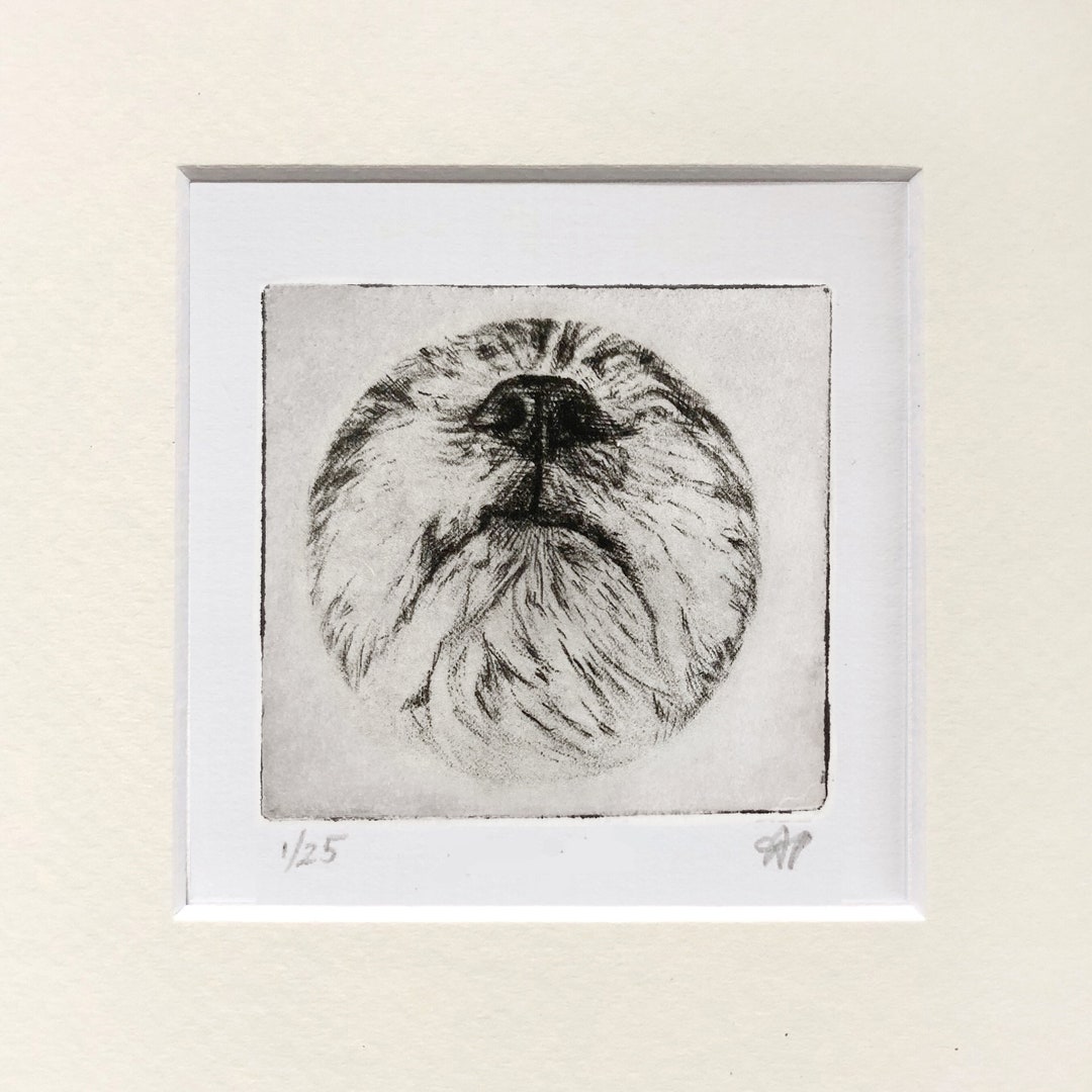 Personalized Shih Poo Etching: Handmade Dog Art Print - Etsy