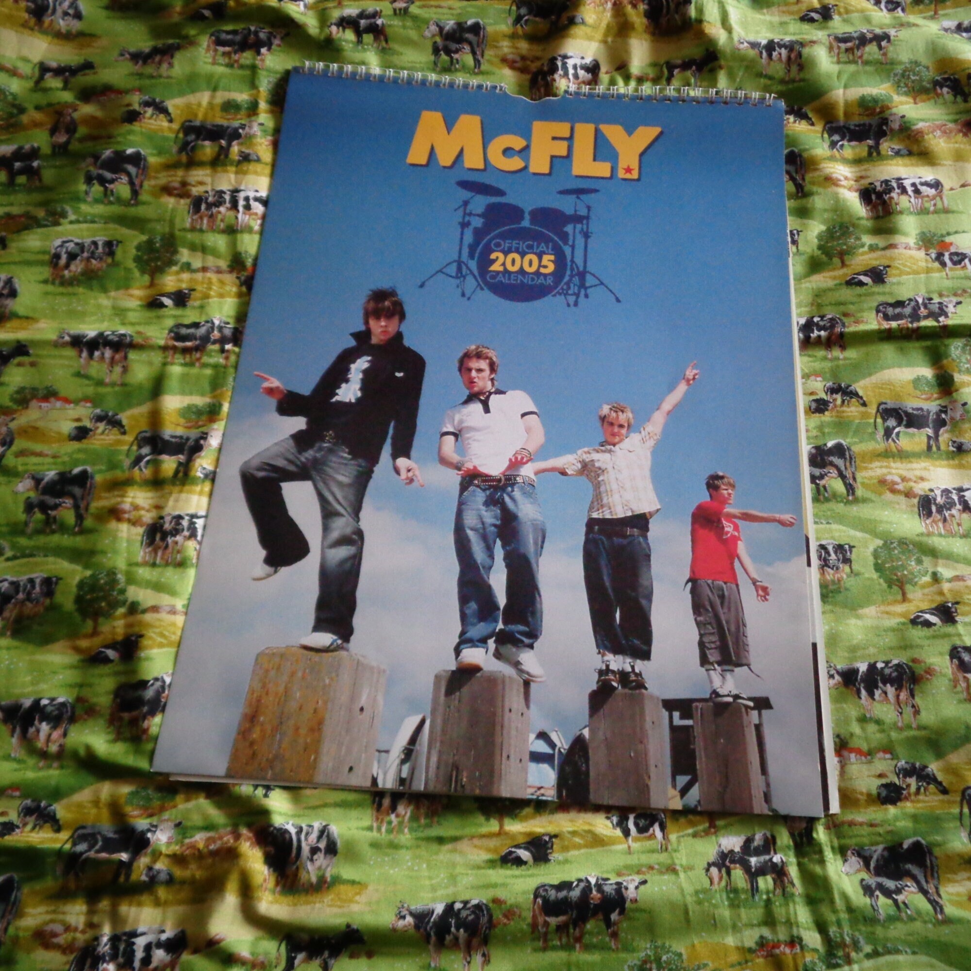 Mcfly 2005