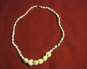 Filipino Shell - Etsy