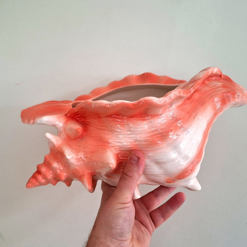 Conch Shell Planter - Etsy