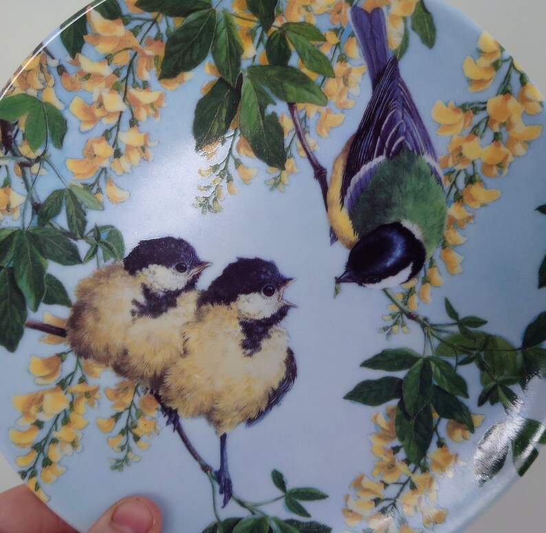 Vintage Bird Decorative Finch Bird Plate Wall Ceramic Finch Plate Royal ...
