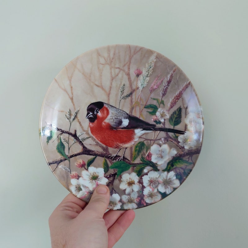 Ceramic Bird Plates - Etsy