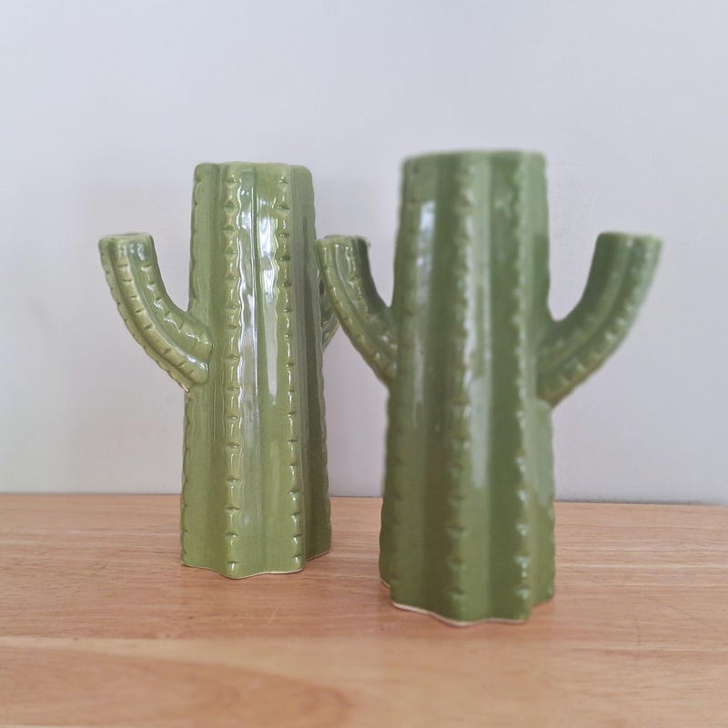 Cactus Pottery - Etsy