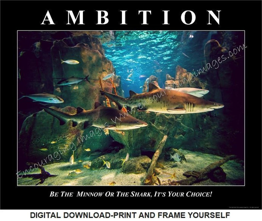 Download,shark,print,shark Decor,shark Art,office Wall Art,motivational ...