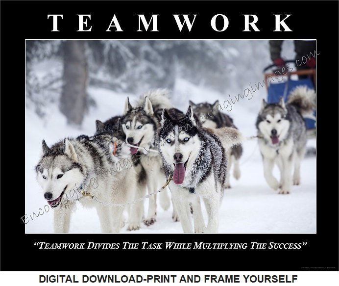 Download,motivational Poster,teamwork, Iditarod,sled Team,dog Sled ...