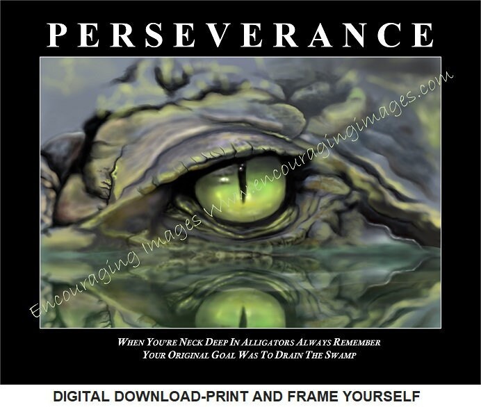 Download,alligator,motivational Poster,perseverance,drain the Swamp ...