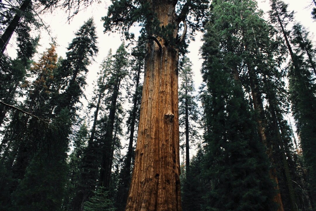 Mystery Photo Prints - Etsy