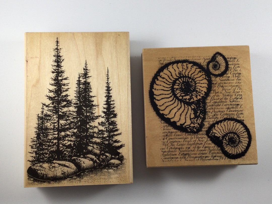 Rubber Stamps 2 Ea. 1 Pines and Rocks-195g by STAMPSCAPES, 1 Limited ...