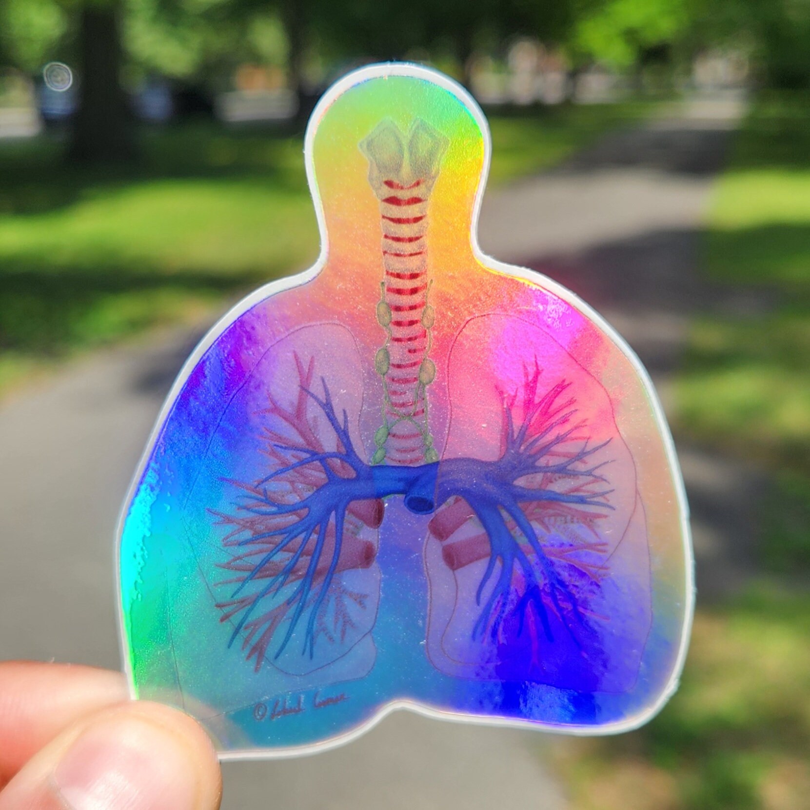 Holographic Lungs Anatomy Die-cut Vinyl Sticker - Etsy