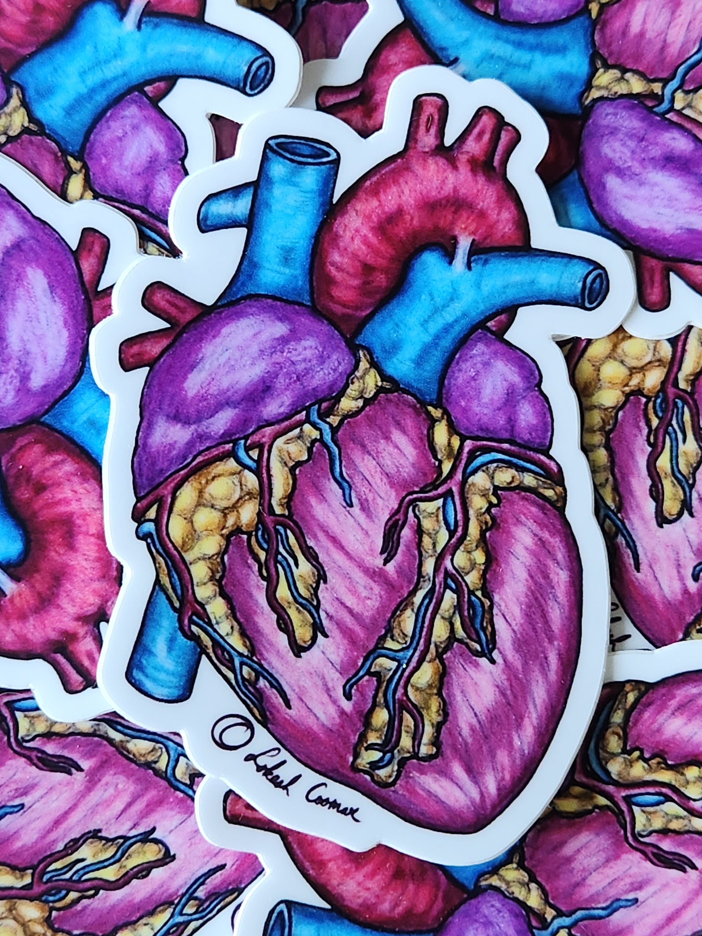 Heart Anatomy Die-cut Vinyl Sticker - Etsy