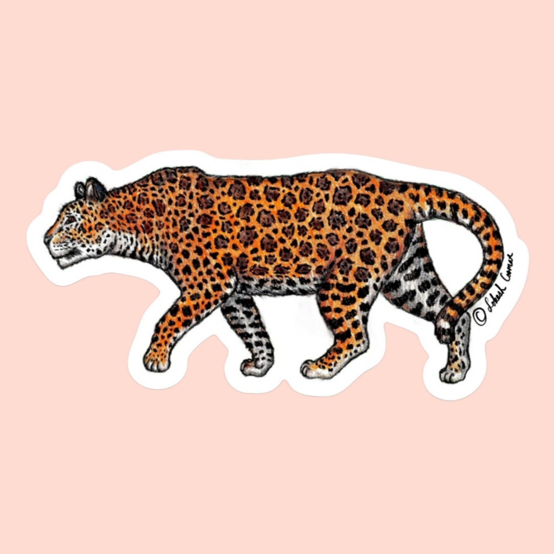 Jaguar Wildlife Die-cut Vinyl Sticker - Etsy