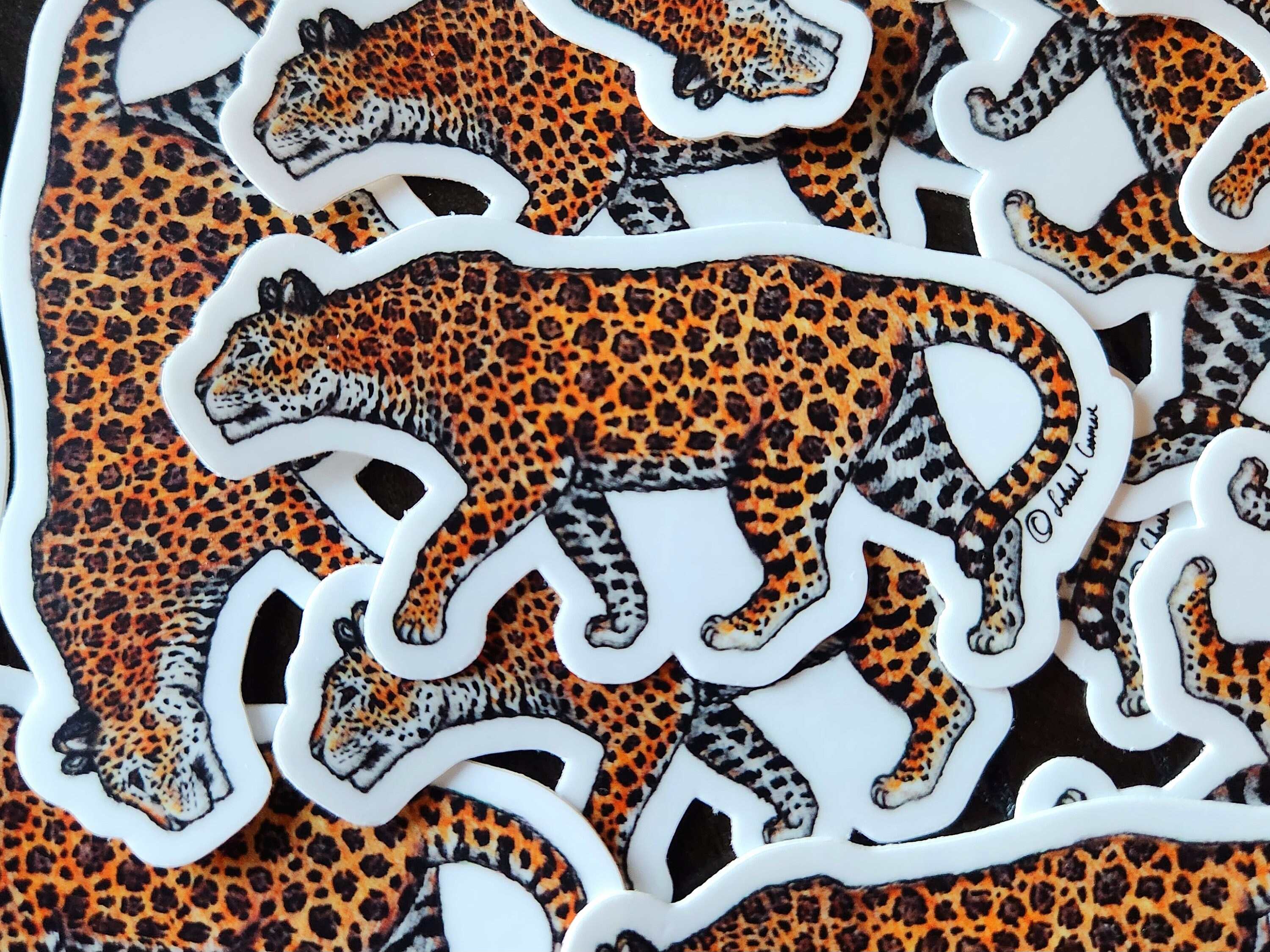 Jaguar Wildlife Die-cut Vinyl Sticker - Etsy
