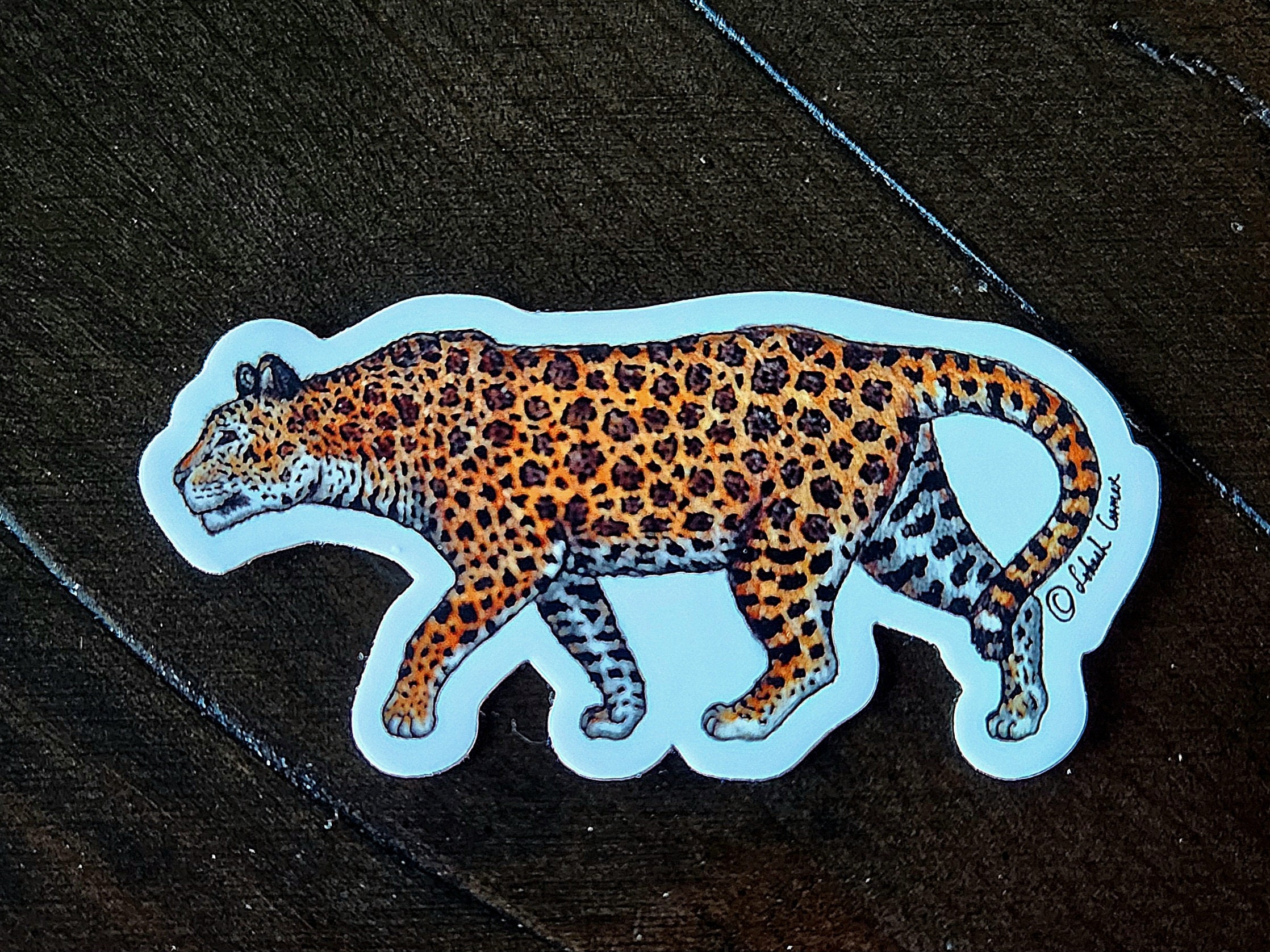 Jaguar Wildlife Die-cut Vinyl Sticker - Etsy
