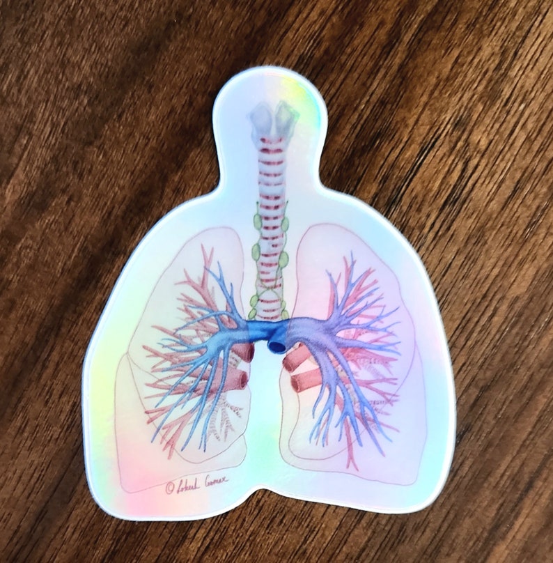 Holographic Lungs Anatomy Die-cut Vinyl Sticker - Etsy