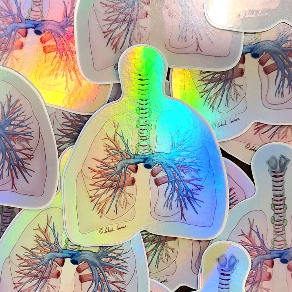 Holographic Lungs Anatomy Die-cut Vinyl Sticker - Etsy