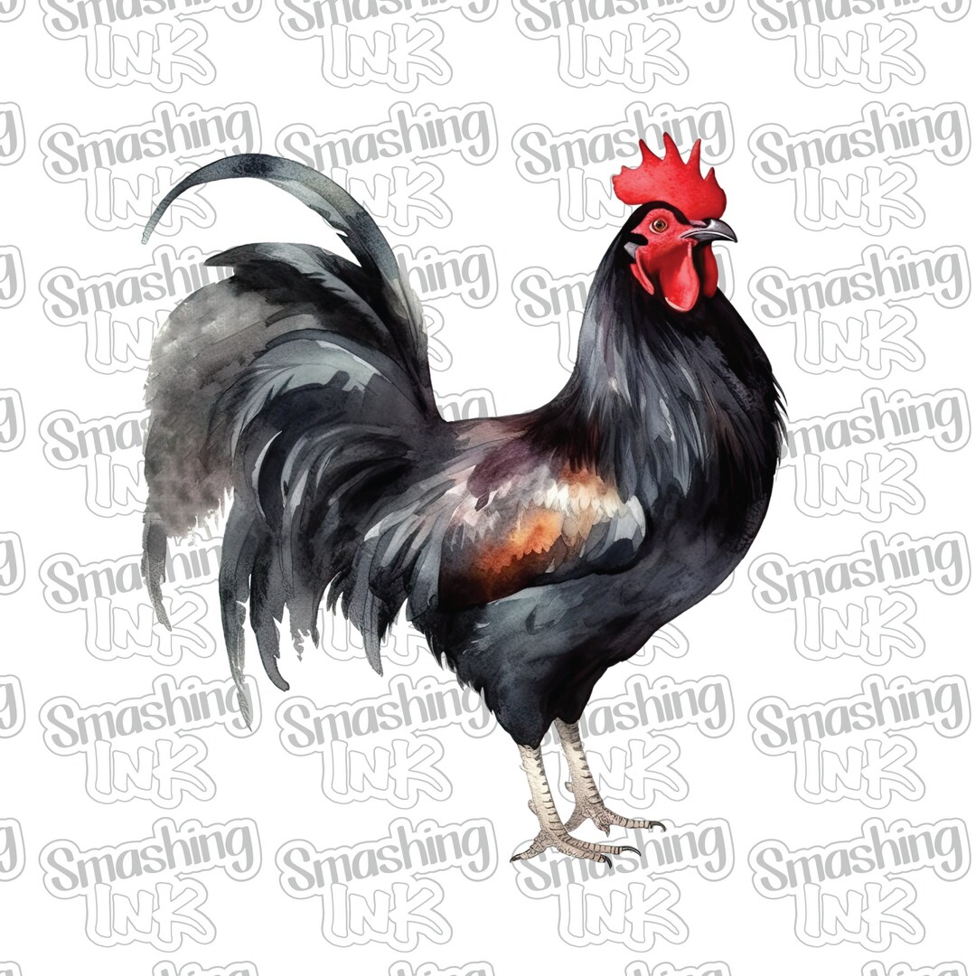 Black Chicken ~ Apparel Transfer | DTF | Iron on | Sublimation | HTV - Etsy