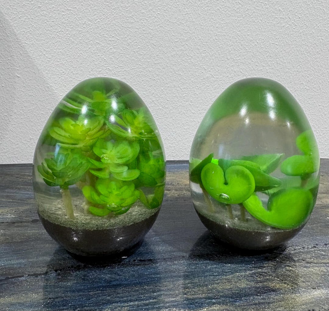 Cremation Ashes Resin Paper Weight With Real Preserved Succulent - Etsy