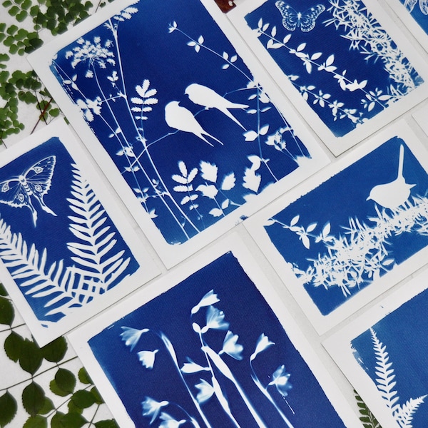 Adult Craft Kit - Etsy