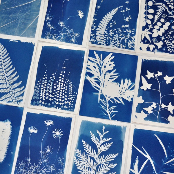 Cyanotype Kit - Etsy UK