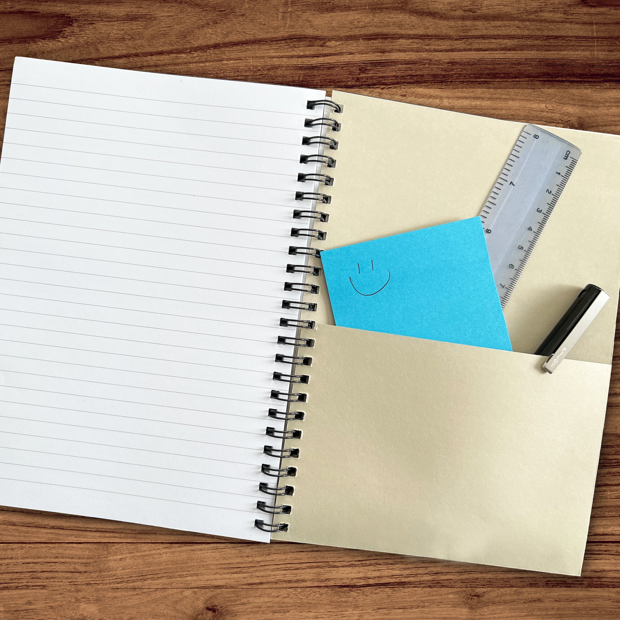 Dino Kids Journal, Dinosaur Spiral Notebook, Jurassic T-rex, Ruled Line ...