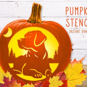 Lab Face Pumpkin Stencil - Etsy