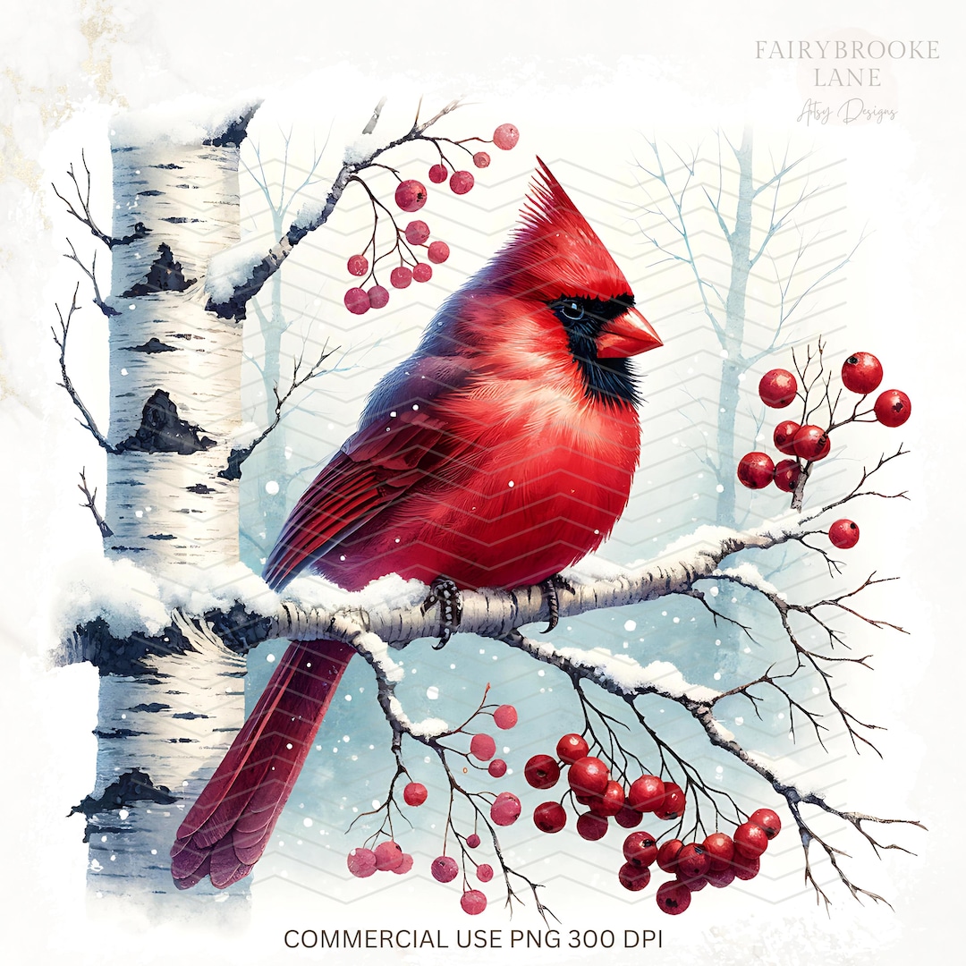 Red Cardinal PNG, Watercolor Christmas Png, Red Cardinal Clipart, Bird ...